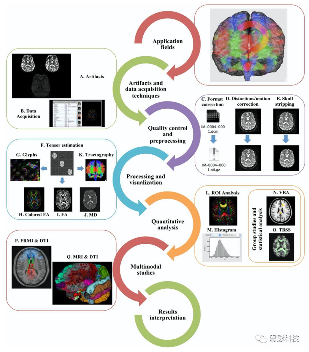 Frontiers in Neuroscience：弥散张量成像(DTI)研究指南 - 知乎