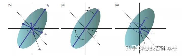 DTI技术原理及临床应用 - 知乎