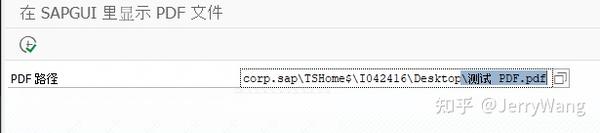 如何在 SAPGUI 里显示上传到 ABAP 服务器的 PDF 文件 - 知乎