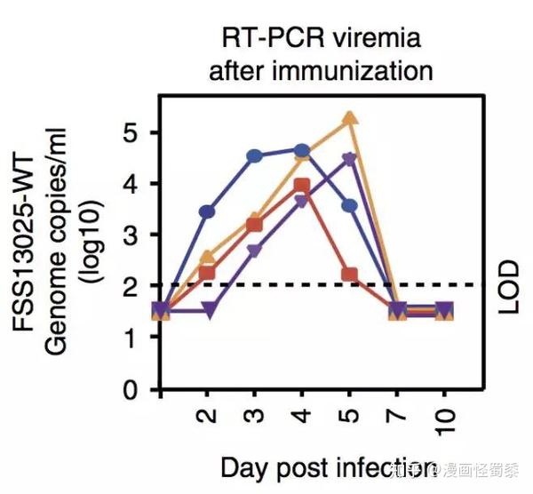 【评测】IDT发布ZEN 或 TAO 双淬灭探针 - 知乎