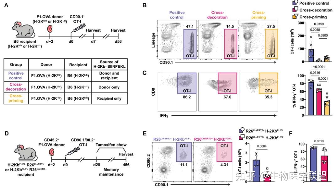组织驻留Trm的维持需要DC的抗原提呈以及IL-15信号 - 知乎