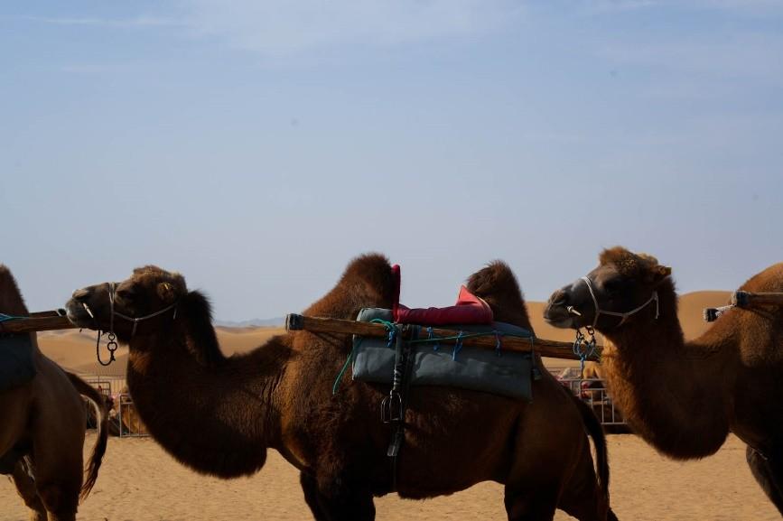 挑战沙漠拍摄！514克高颜值新机 Alpha 7C II评测 - 知乎