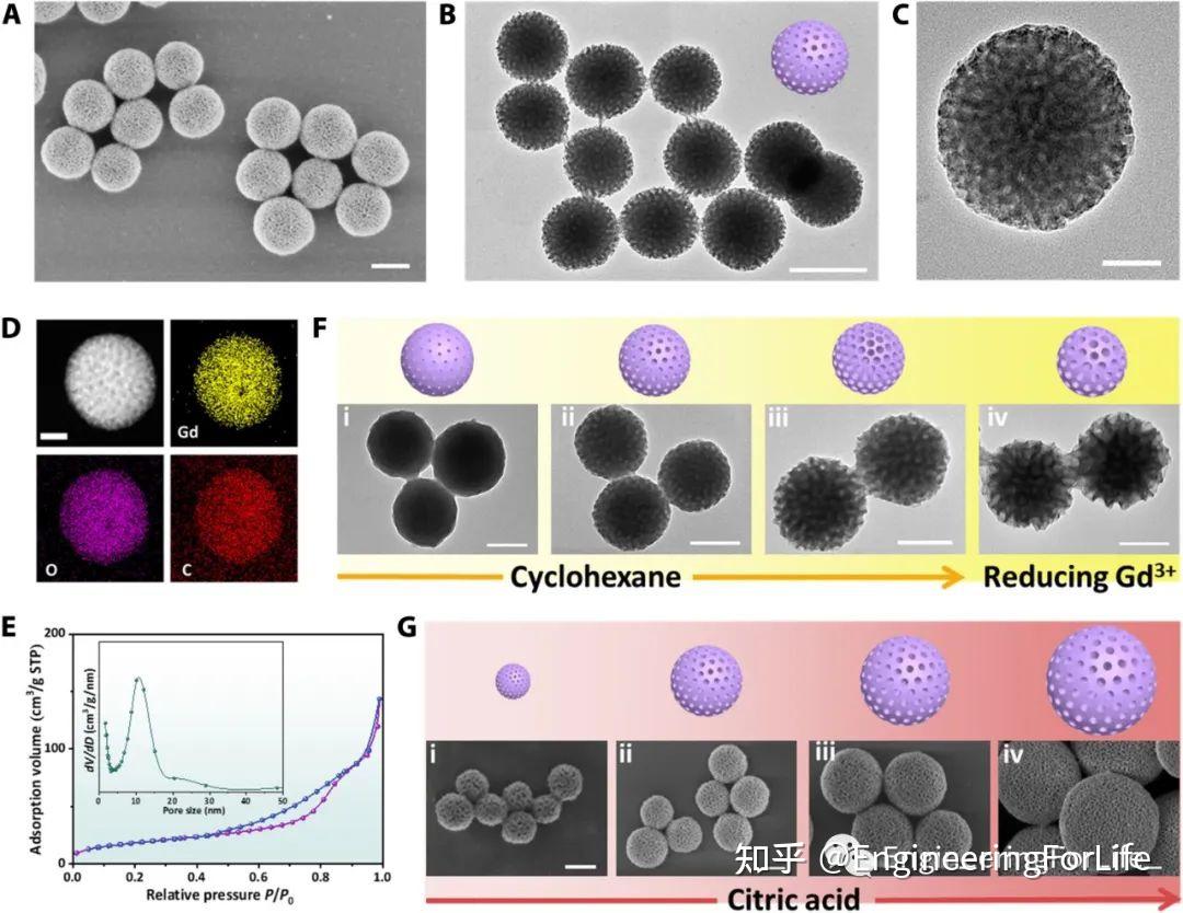 《Science Advances》：千变万化，基于黏度介导胶束组装的树突介孔稀土纳米材料合成 - 知乎