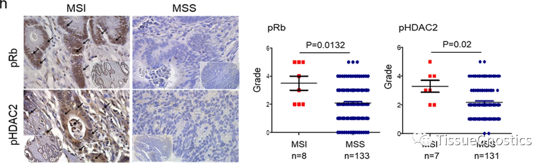 Nature Communications|蛋白磷酸酶2A（PP2A）或将成为肿瘤生物标志物“新宠” - 知乎