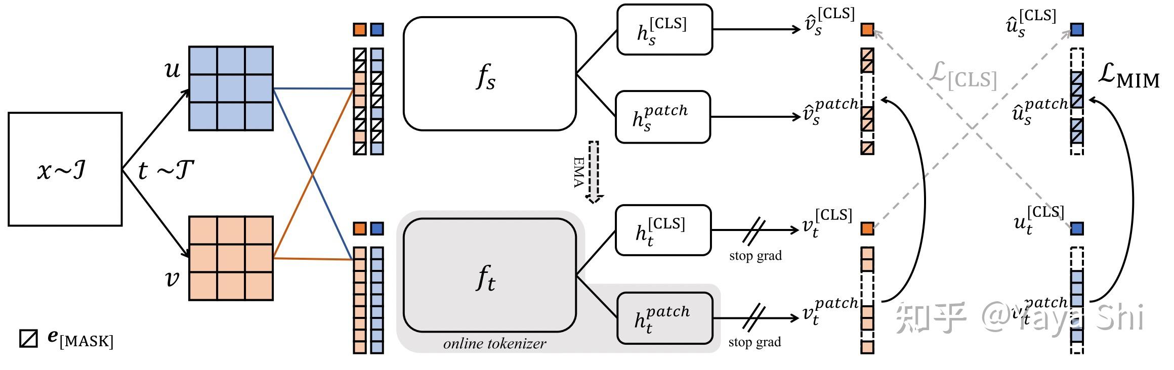iBOT and data2vec - 知乎