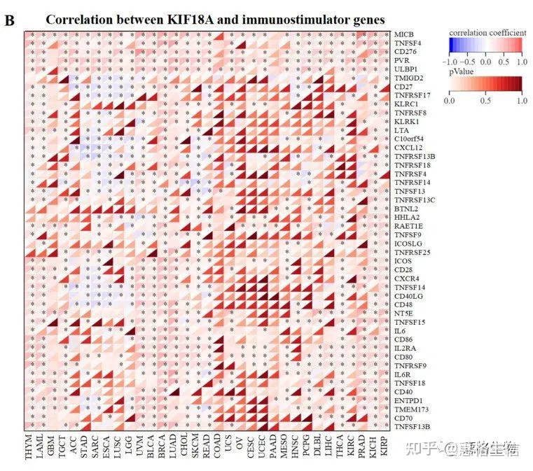 KIF18A 作为预后和免疫标志物的综合泛癌症分析 - 知乎