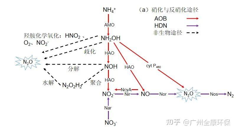 综述分析 | 污水处理过程N2O排放：过程机制与控制策略 - 知乎
