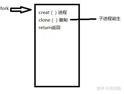 linux 进程 fork() - 知乎