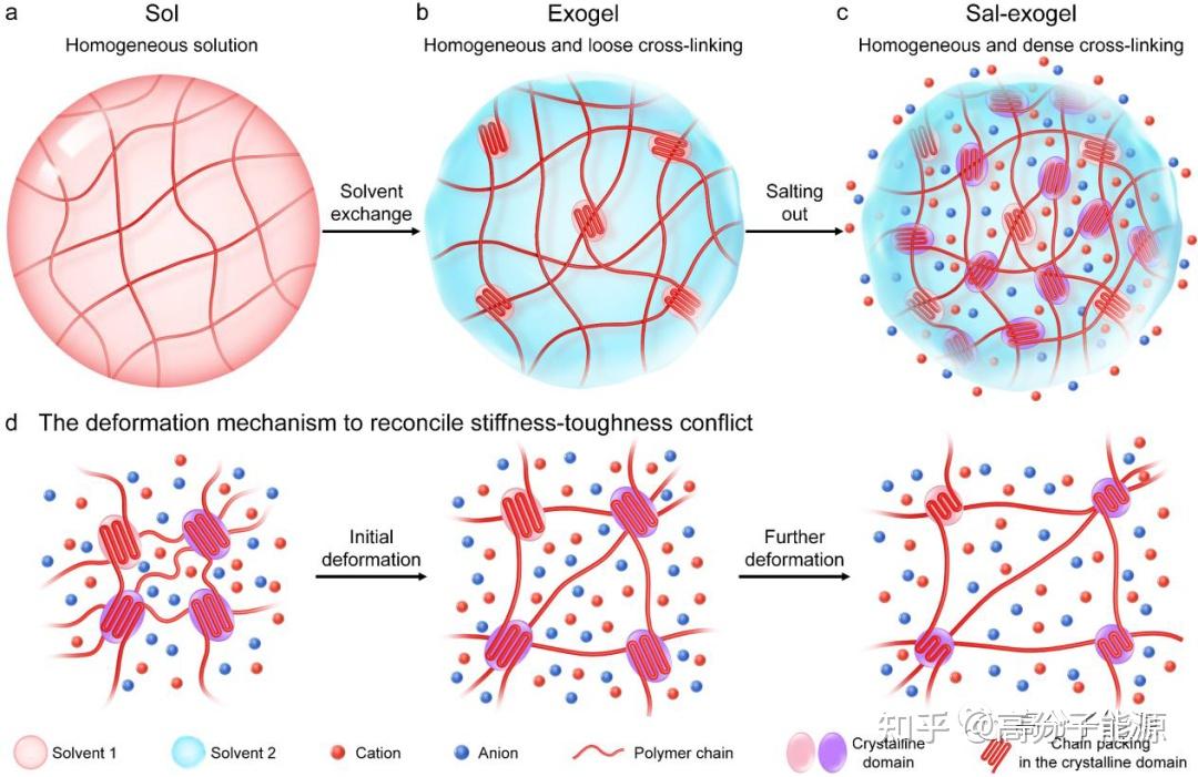 PVA水凝胶再登《AM》：晶体域交联协调增韧水凝胶 - 知乎