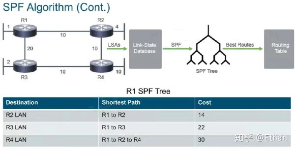 OSPF 一文详解 - 知乎