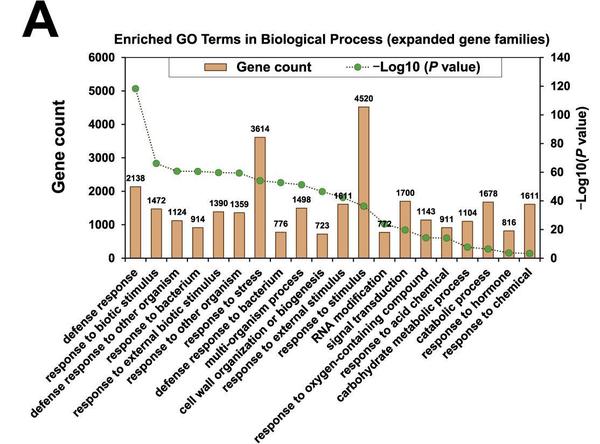 R语言 Ggplot2绘制cell文章的双y轴图以及多种实用绘图技巧 知乎 