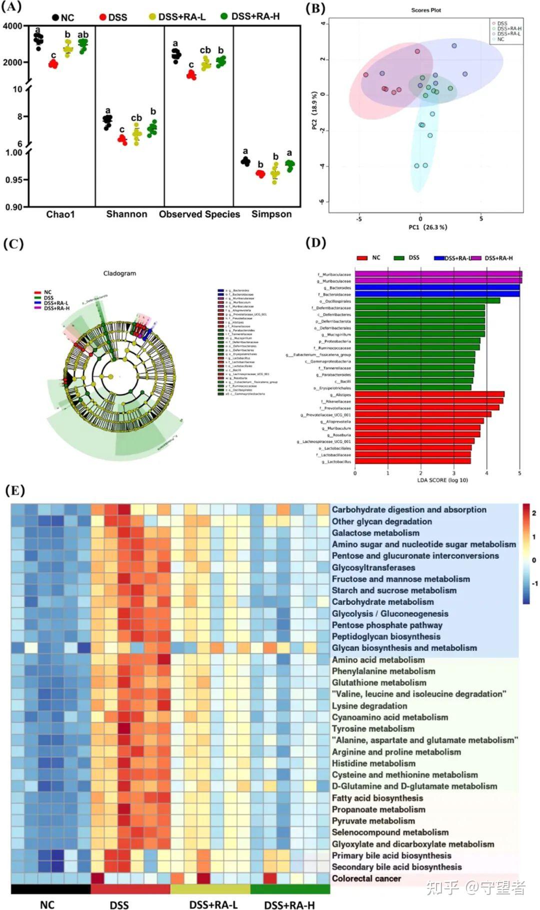 Journal of Agricultural and Food Chemistry封面：迷迭香酸通过调节肠道微生物衍生代谢物和炎症小体的激活 ...