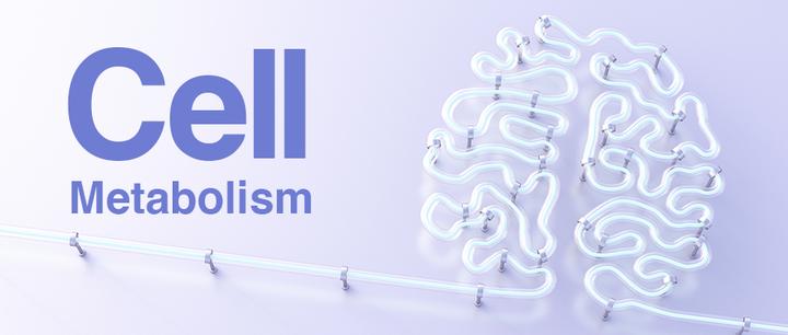 Cell Metab | 袁增强/孙露洋团队联合揭示组蛋白乳酸化驱动阿尔茨海默症发生 - 知乎