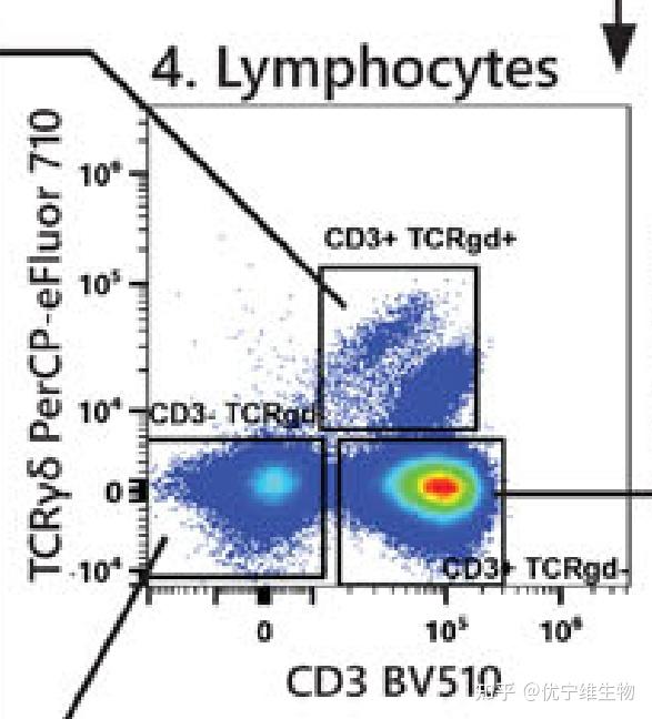 【光谱系列3】40色全光谱流式用于人外周血中主要细胞亚群的深度免疫表型 - 知乎