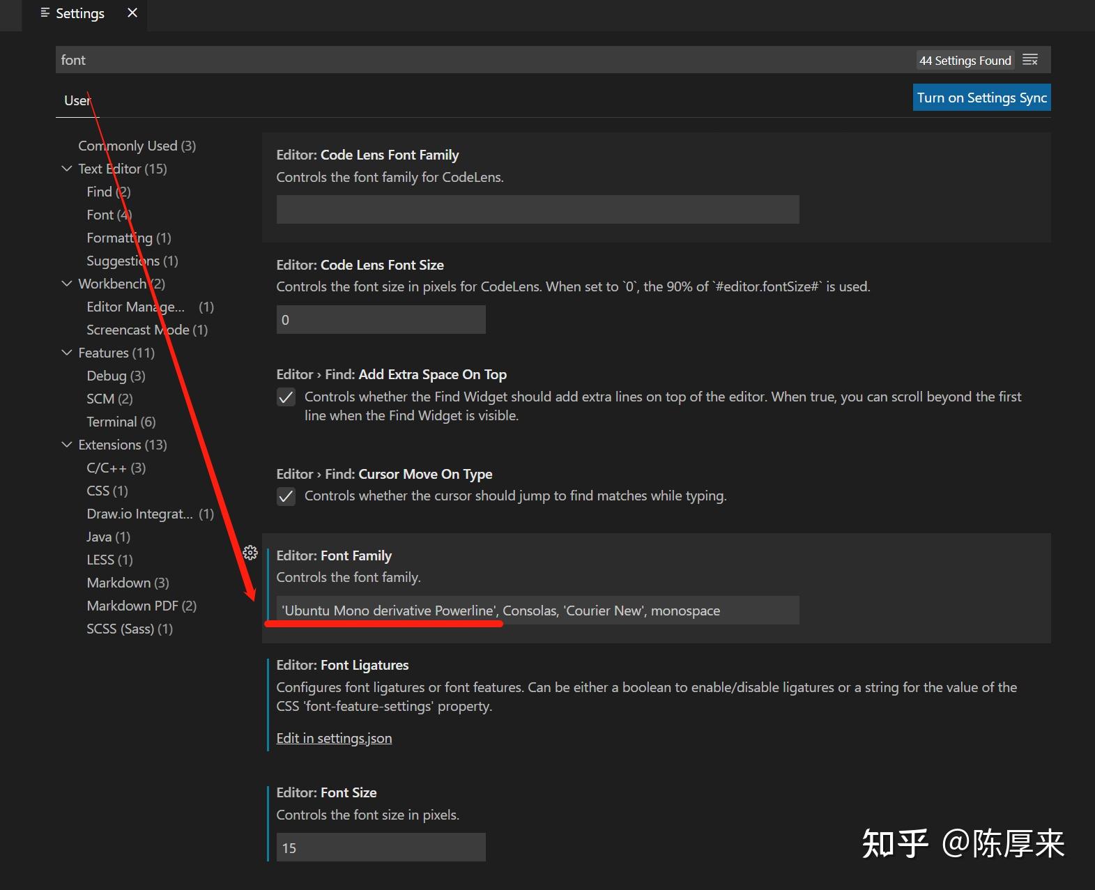 最完美解决vscode中文等宽字体的方案 - 知乎