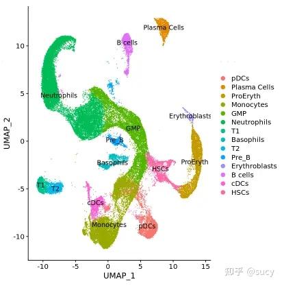 Seurat与singleR - 知乎