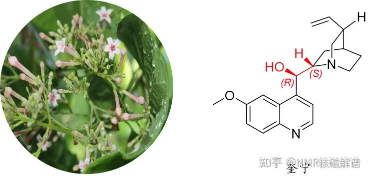 神奇的药物-奎宁（quinine）生物碱 - 知乎