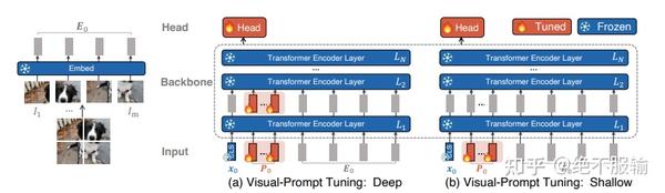 Visual Prompt Tuning - 知乎