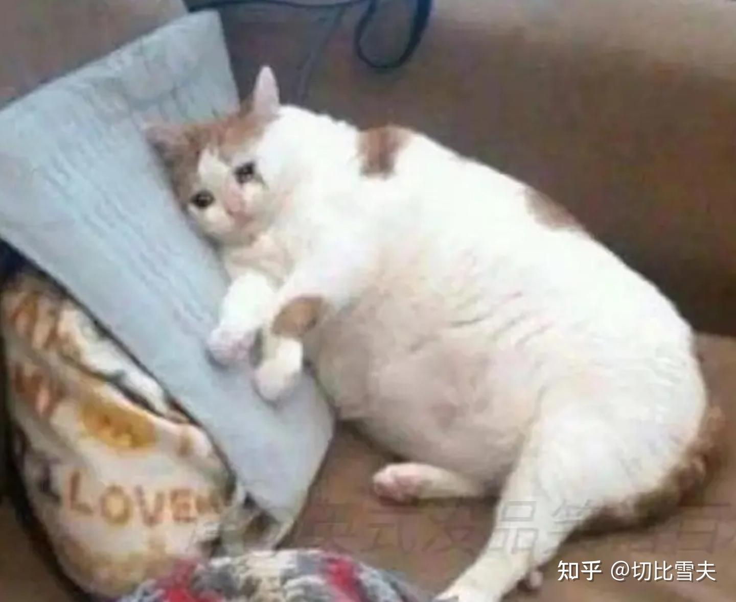 dft pattern retargeting - 知乎