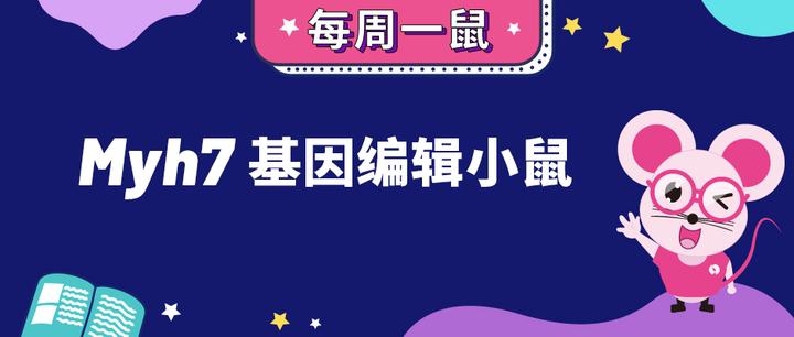 【每周一鼠】引起肥厚性心肌病的主要致病基因——Myh7基因编辑小鼠 - 知乎