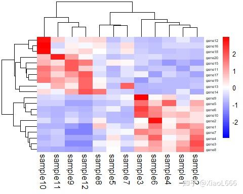 使用pheatmap包绘制热图 - 知乎