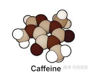 全球上瘾——咖啡因 - 知乎