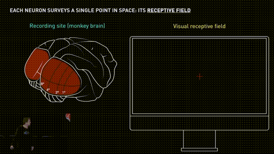 Neuralink脑芯片升级，脑机接口前进一大步｜昆仲·享 - 知乎