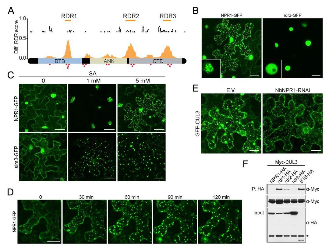 相变无奇，聚合分离——相分离 - 知乎