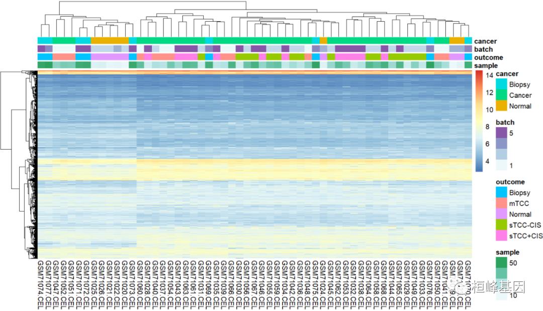 RNA 38. SCI文章基于测序数据去除批次效应(SVA) - 知乎