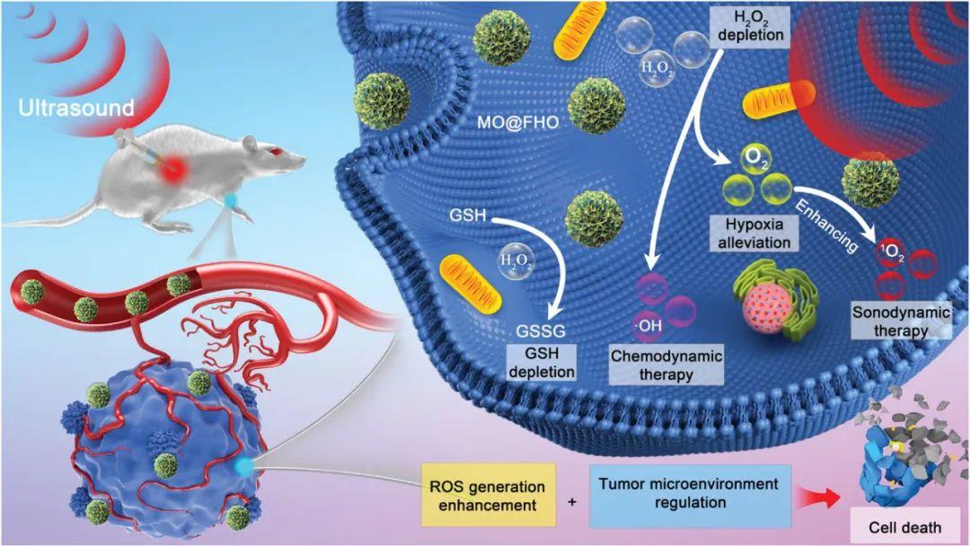 【Adv.Sci】超薄FeOOH涂层MnO2声敏剂具有提高的活性氧产量和重塑的肿瘤微环境用于有效的癌症治疗 - 知乎