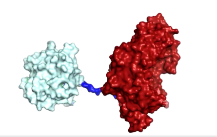 超级混合“塑食酶”为解决塑料污染问题带来新希望 - 知乎