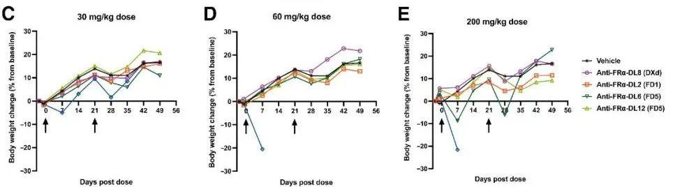 Zymeworks公司的新型喜树碱ADC荷载的分子设计与评估 - 知乎