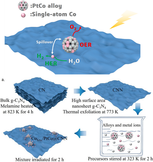 姚叶锋&王雪璐团队ACS Catal.: Co单原子和PtCo合金颗粒协同实现高效全解水 - 知乎