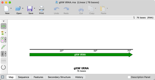 SnapGene V6.1 全新功能 — RNA二级结构 - 知乎