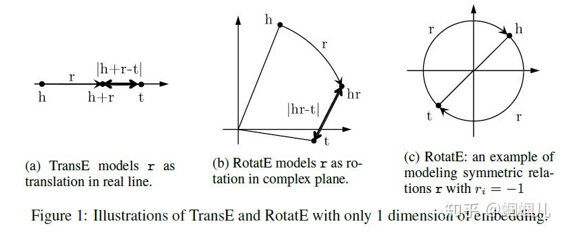 【知识图谱】RotateE - 知乎