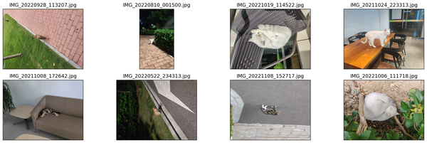 MMDetection实战--基于RTMDet在Cats和10类饮料数据集上的目标检测与MMYoLo Grad-Based CAM可视化 - 知乎