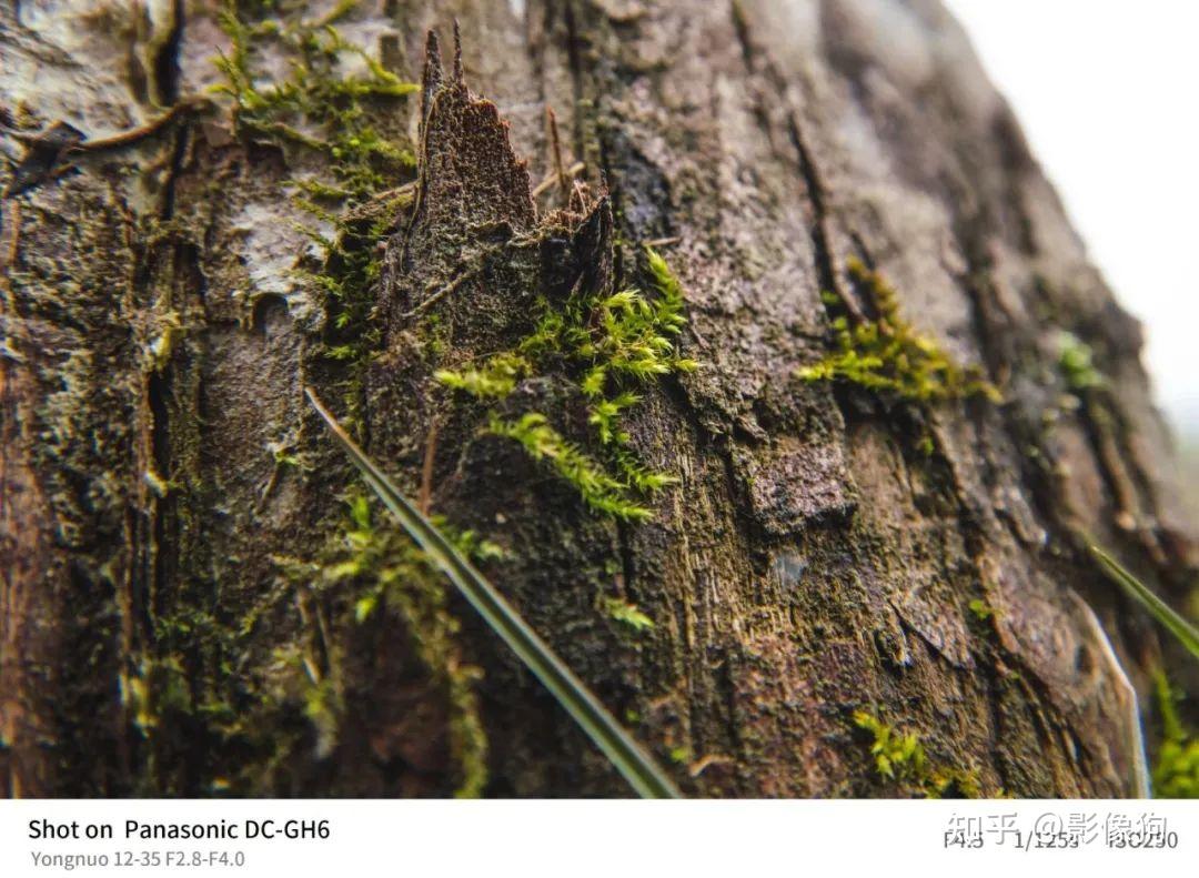 永诺YN 12-35mm F2.8-4 M国产首款自动对焦变焦镜头 - 知乎