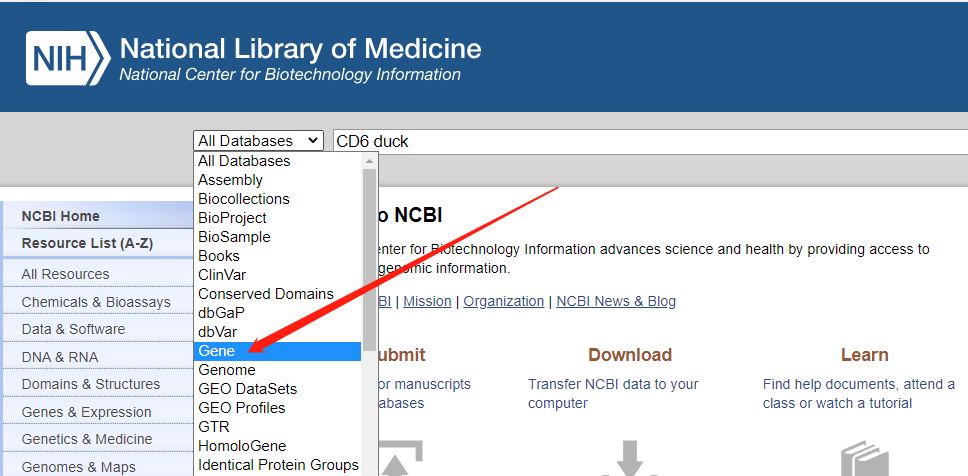 如何从NCBI下载目的基因的mRNA序列（保姆级教程） - 知乎