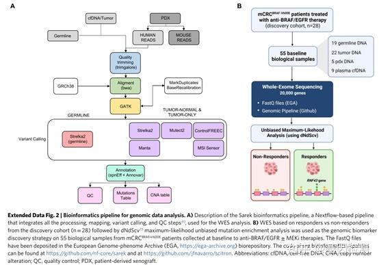 RNF43突变预测BRAF V600E转移性结直肠癌对抗BRAF/EGFR联合治疗的反应 - 知乎