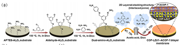 二维COF和MOF - 知乎