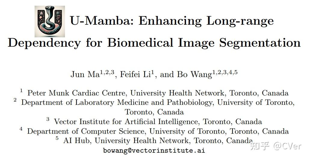 革新医学图像分割！刷新多个SOTA！U-Mamba：生物医学图像分割新网络 - 知乎