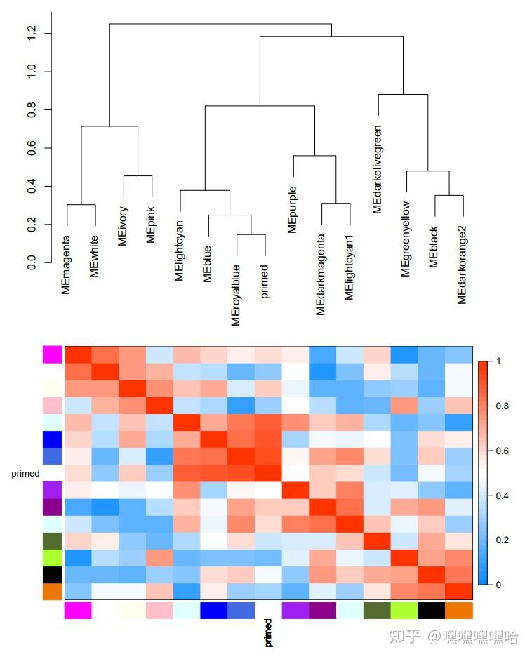 RNA-seq入门实战（十一）：WGCNA加权基因共表达网络分析——关联基因模块与表型 - 知乎