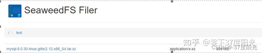 SeaWeedFS安装以及部署，以及master模式和filer模式的介绍 - 知乎