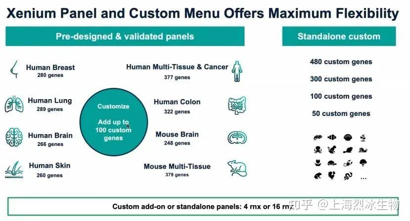 听说原位空间组学技术很火？【Xenium 专题】 - 知乎