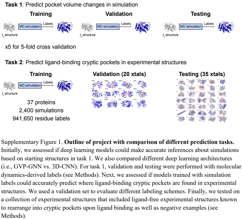Nature Com|AI精确预测隐蔽的蛋白口袋 - 知乎