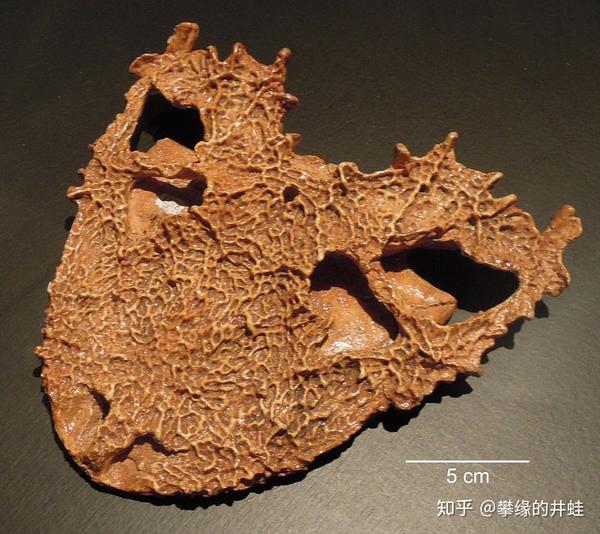 【地球演义】偏师劲旅（上） - 知乎