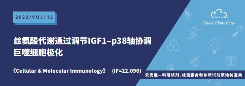 文献解读 | 丝氨酸代谢通过调节IGF1–p38轴协调巨噬细胞极化 - 知乎