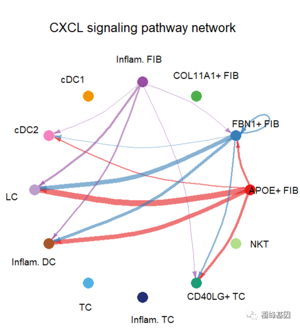 SCS【25】单细胞细胞间通信第一部分细胞通讯可视化（CellChat） - 知乎