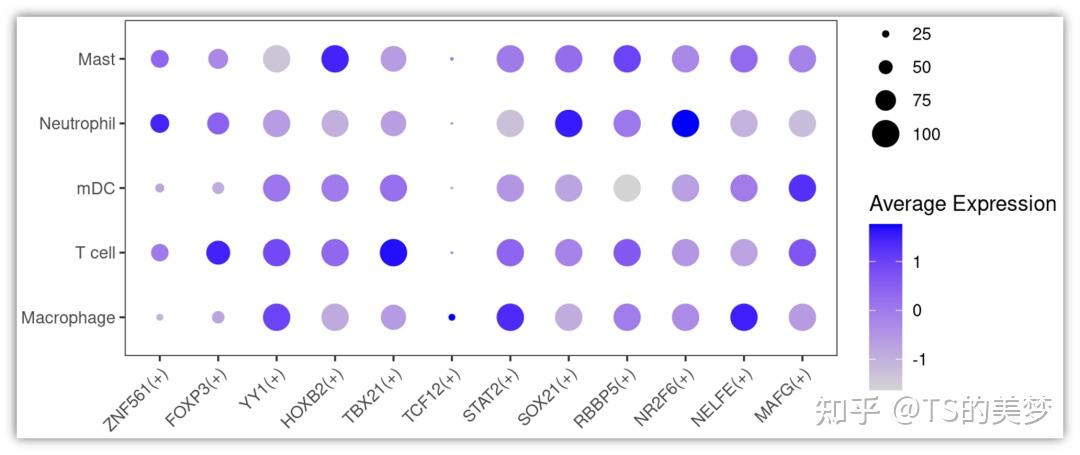 PySCENIC（三）：pyscenic单细胞转录因子分析可视化 - 知乎