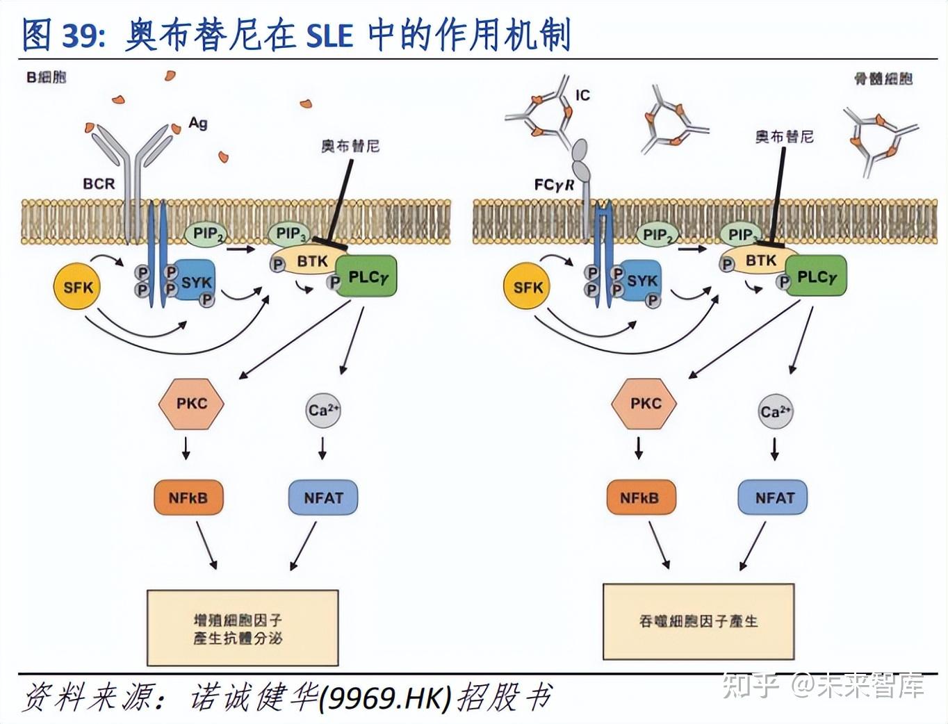 诺诚健华：小分子药物创新药企，拥有潜在同类最佳的BTK抑制剂 - 知乎